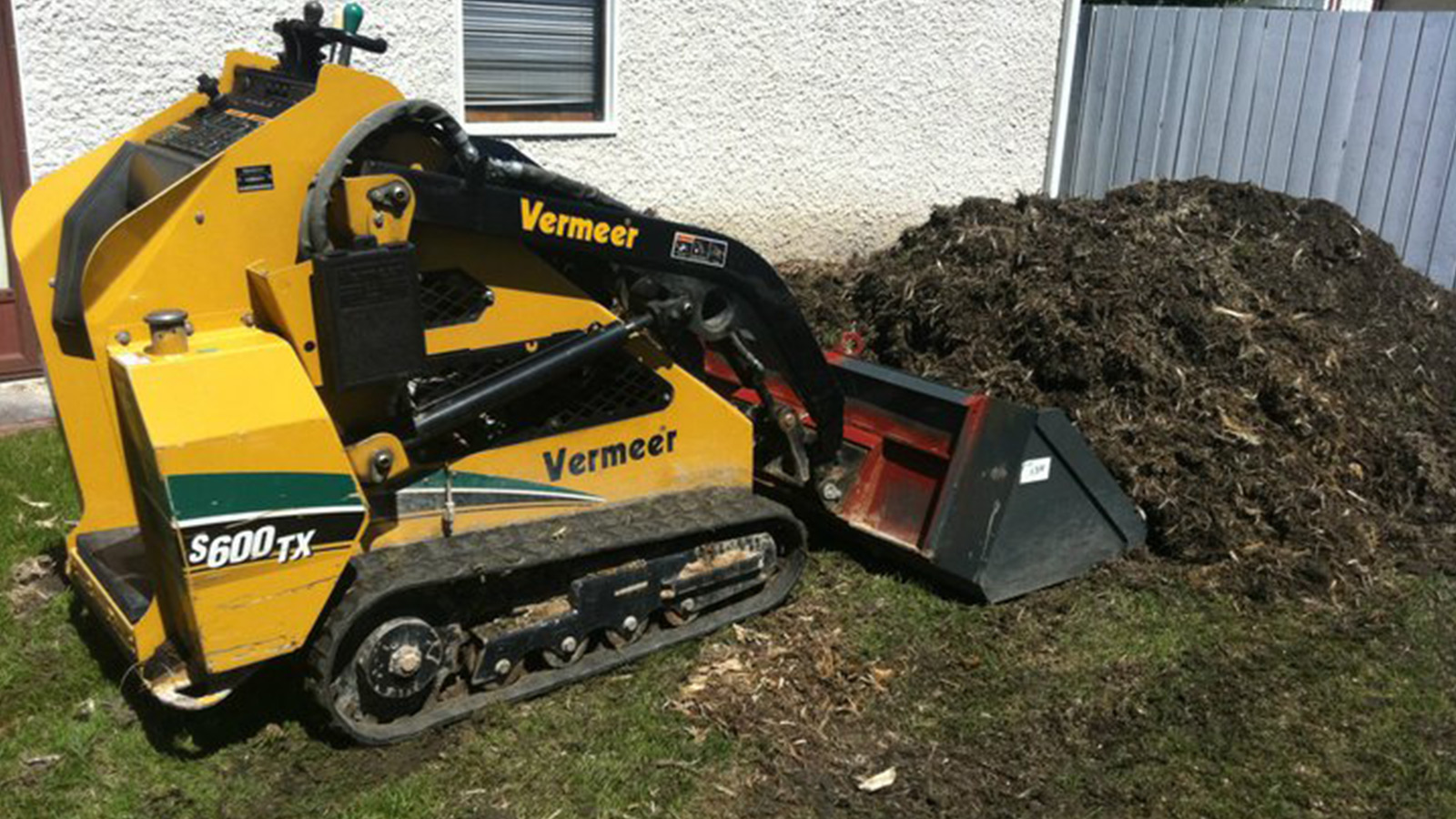 ASAP Tree And Stump - Gallery