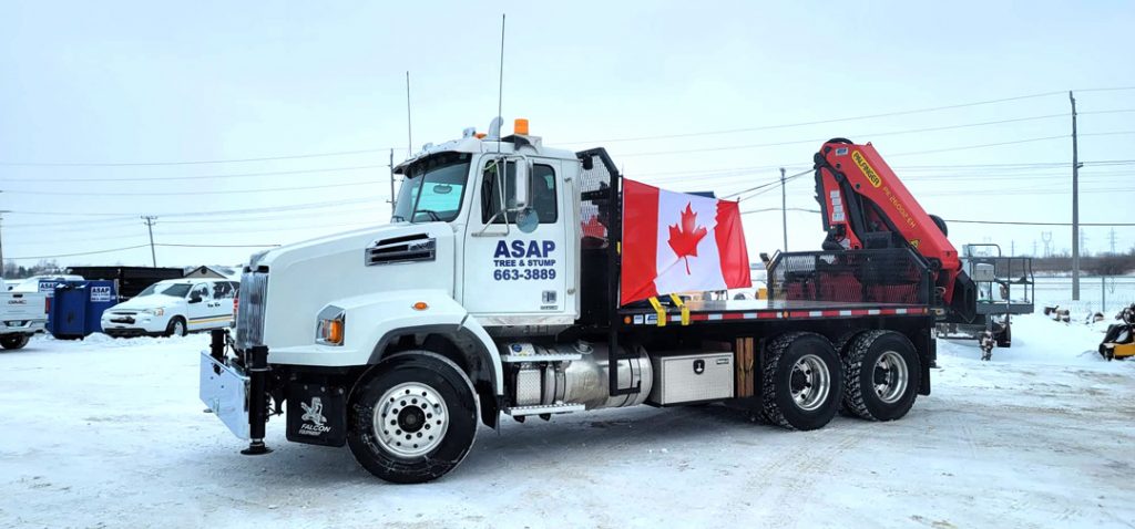 Winnipeg Tree Service - Asap Tree And Stump, Tree Removal/Care